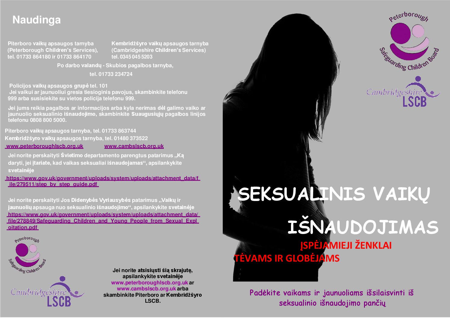 CSE Warning Signs Leaflet for Parents and Carers (Lithuanian ...
