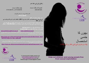 Warning Signs for Professionals Leaflet (Urdu) | Cambridgeshire and ...