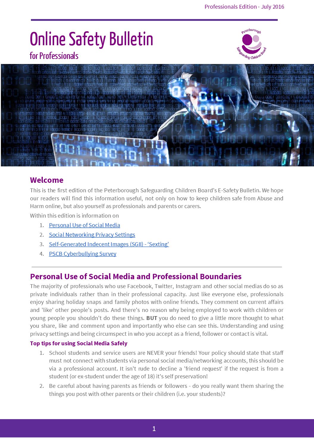 Online Safety Bulletin – for Professionals – July 2016 | Cambridgeshire ...