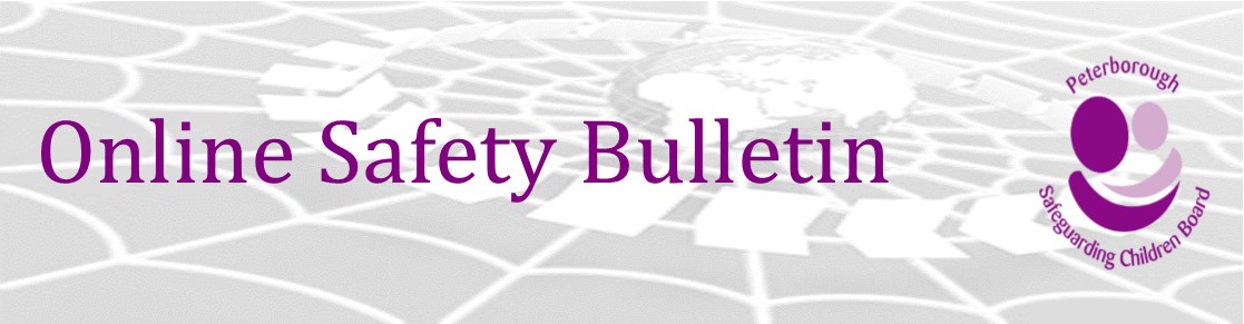 online-safety-bulletin-2 | Cambridgeshire and Peterborough Safeguarding ...