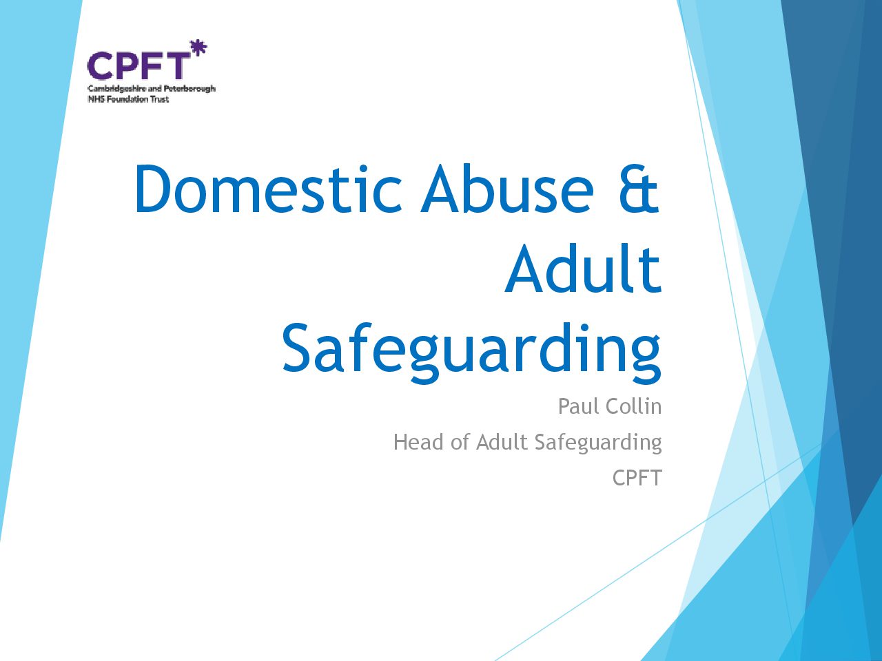 Domestic Abuse & Adult Safeguarding | Cambridgeshire and Peterborough ...