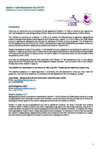 2017 Section 11 Audit Tool – guidance | Cambridgeshire and Peterborough ...