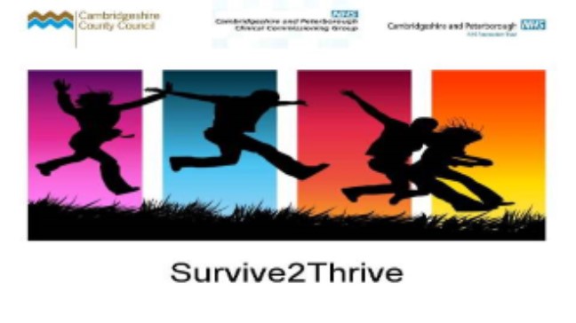 LSCB 2017 workshop_Thrive 2 Survive (for web) | Cambridgeshire and ...