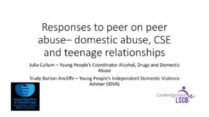 Responses to peer on peer abuse | Cambridgeshire and Peterborough ...
