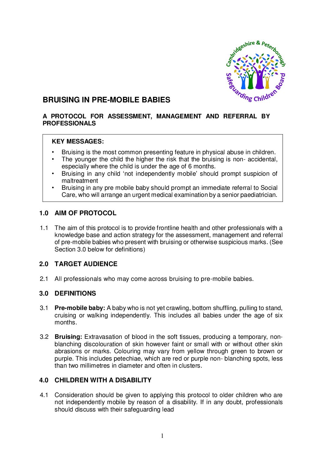 Joint LSCB Bruising in pre-mobile Babies – updated Nov 2017 ...