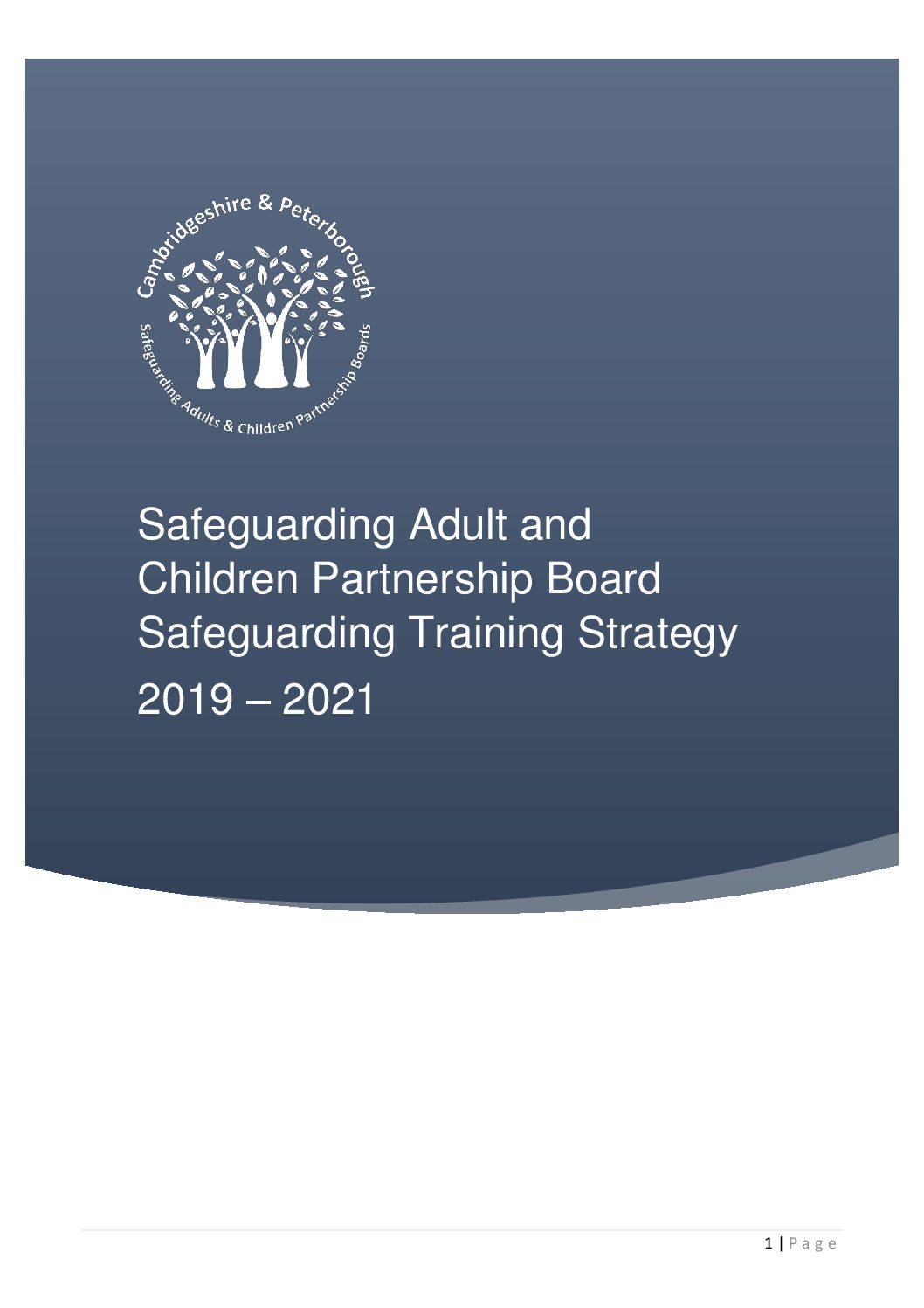 Training-Strategy-2019-21-Final | Cambridgeshire and Peterborough ...