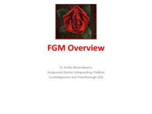 FGM Presentation 2017 | Cambridgeshire and Peterborough Safeguarding ...