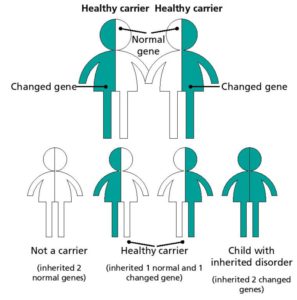 Consanguinity – The health of children with parents related by blood ...