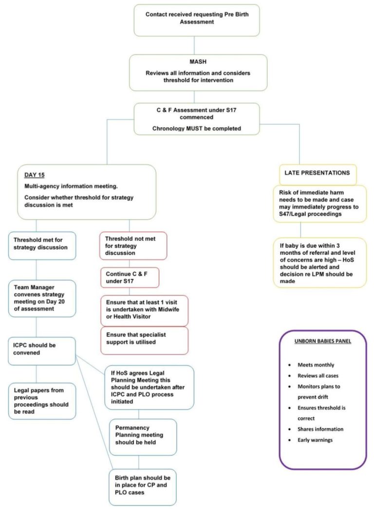 Cambridgeshire and Peterborough Pre-Birth Protocol | Cambridgeshire and ...