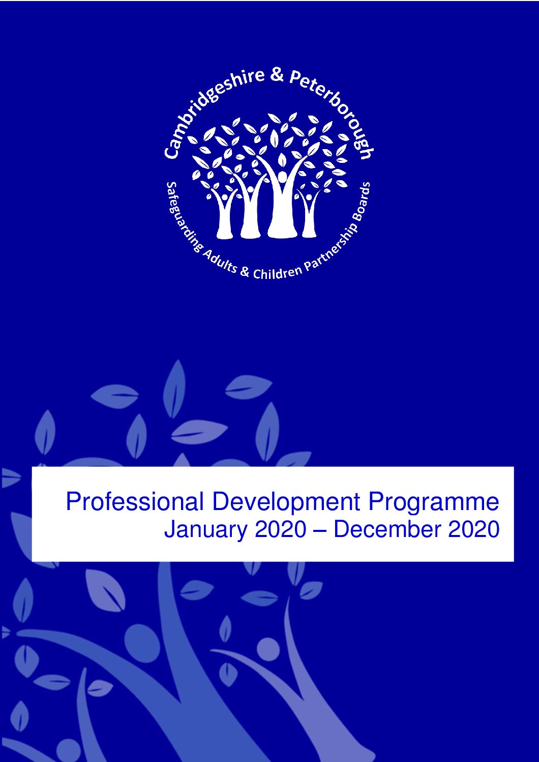 Safeguarding Board Training 2020 | Cambridgeshire and Peterborough ...