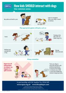 RSPCA How kids SHOULD interact with dogs | Cambridgeshire and ...
