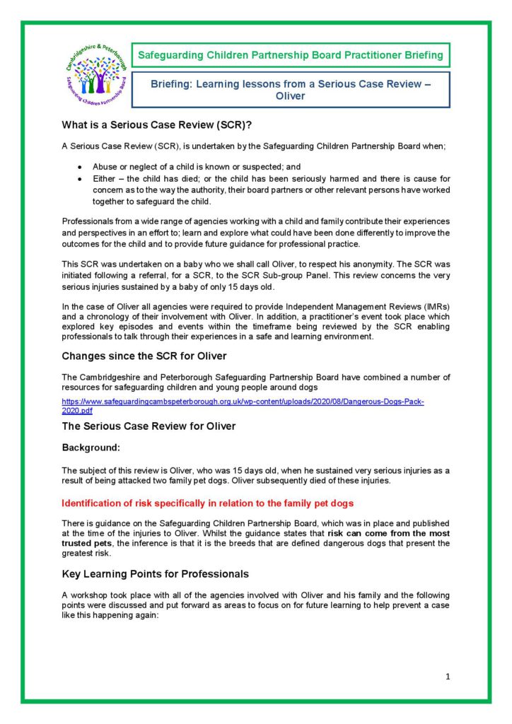 Child Safeguarding Practice Reviews | Cambridgeshire and Peterborough ...