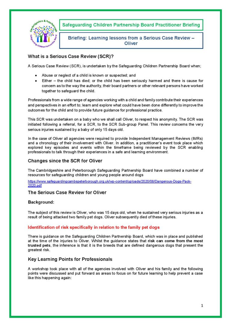 Child Safeguarding Practice Reviews | Cambridgeshire and Peterborough ...
