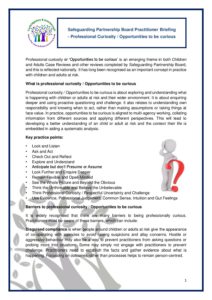 Briefing on Professional curiosity | Cambridgeshire and Peterborough ...