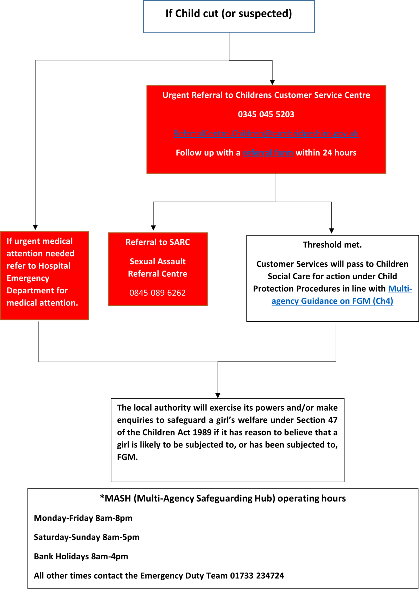 Practice Guidance for practitioners on Female Genital Mutilation (FGM ...