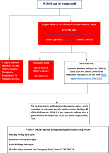 Practice Guidance for practitioners on Female Genital Mutilation (FGM ...