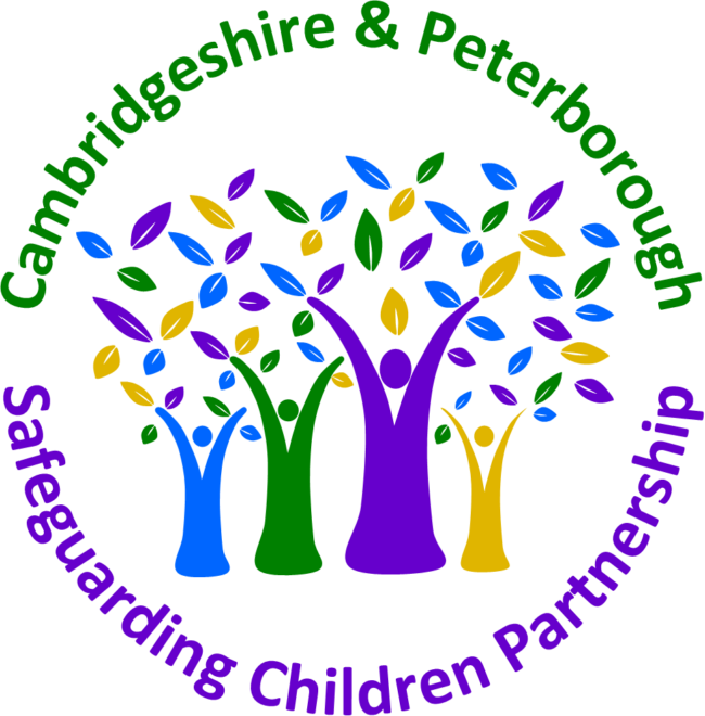 Child Safeguarding Practice Reviews – Cambridgeshire and Peterborough ... Child Safeguarding Practice Reviews – Cambridgeshire and Peterborough ...