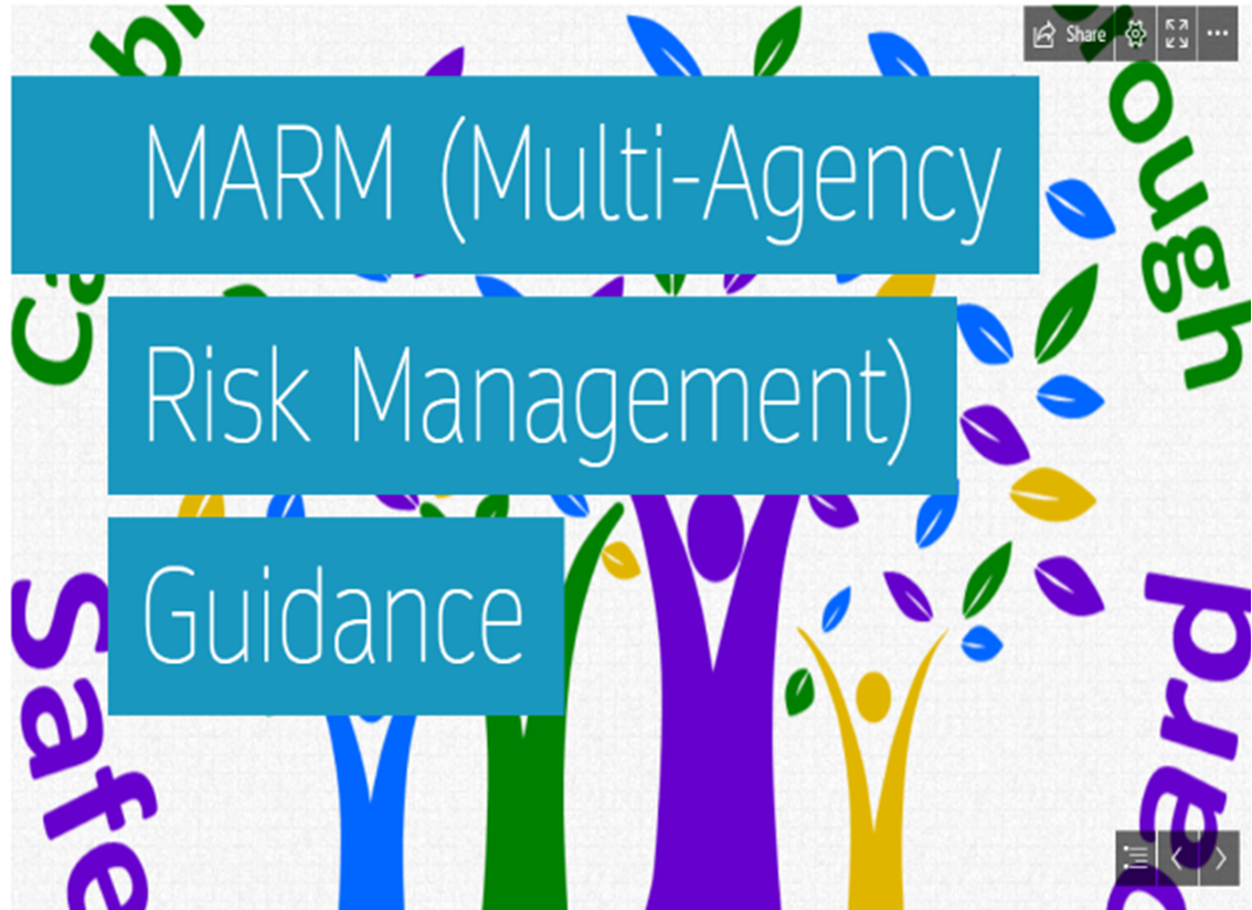 MARM Sway | Cambridgeshire and Peterborough Safeguarding Partnership Board MARM Sway | Cambridgeshire and Peterborough Safeguarding Partnership Board