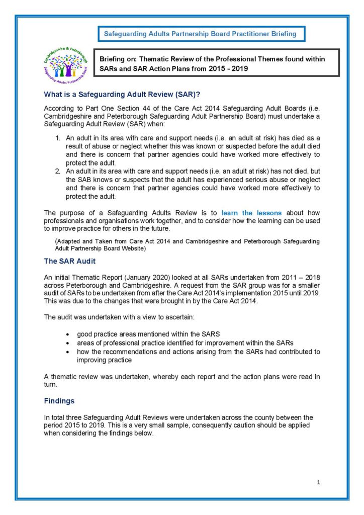 Briefing on: Thematic Review of the Professional Themes found within ...